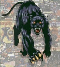 Panther God Powers, Enemies, History | Marvel